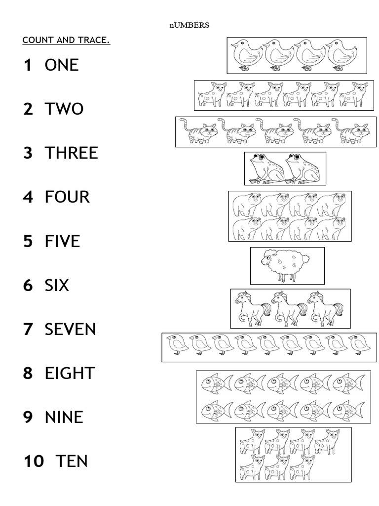 Numbers Brown Bear | PDF