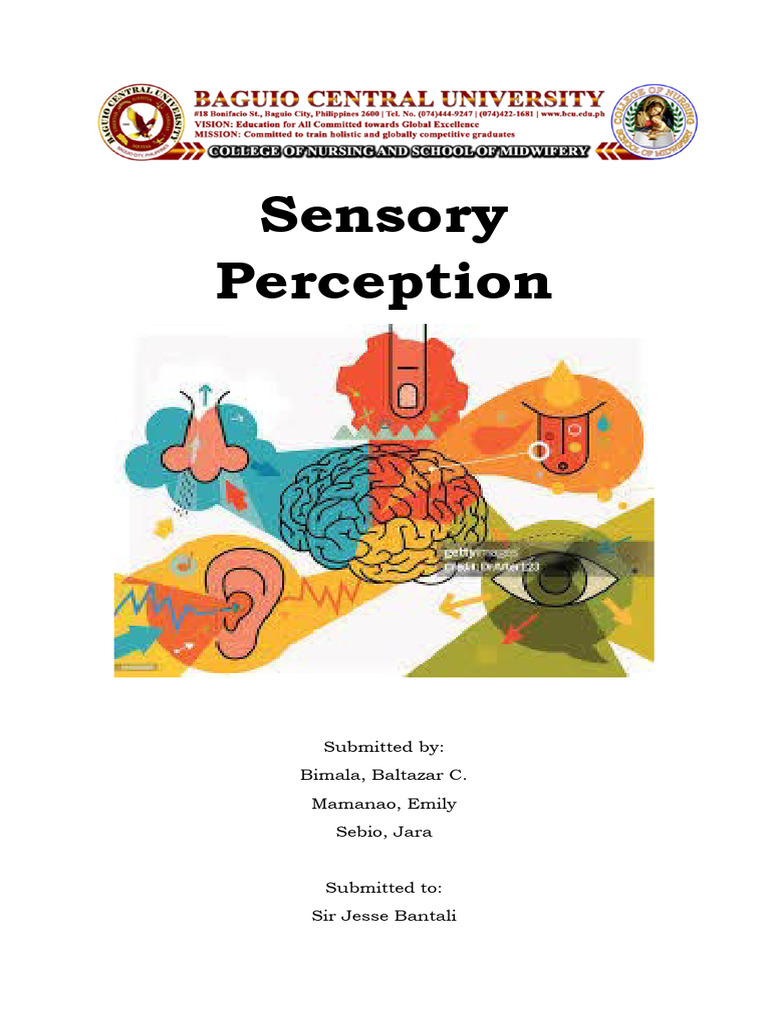 Bimala Sensory Perception | PDF | Glaucoma | Taste