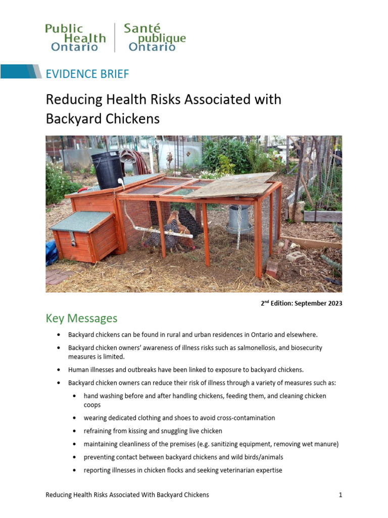 Eb Backyard Chickens | PDF | Avian Influenza | Influenza A Virus ...