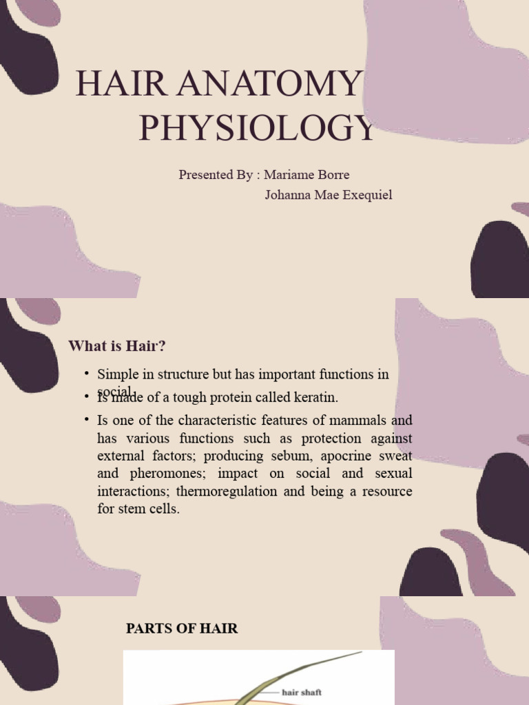 Anatomy and Physiology of Hair | PDF | Hair | Integumentary System