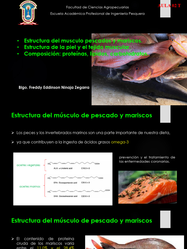 Estructura y composición del músculo de pescado | PDF | Mariscos ...