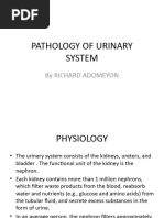 Anderson-Hynes Pyeloplasty Steps | PDF | Kidney | Pelvis