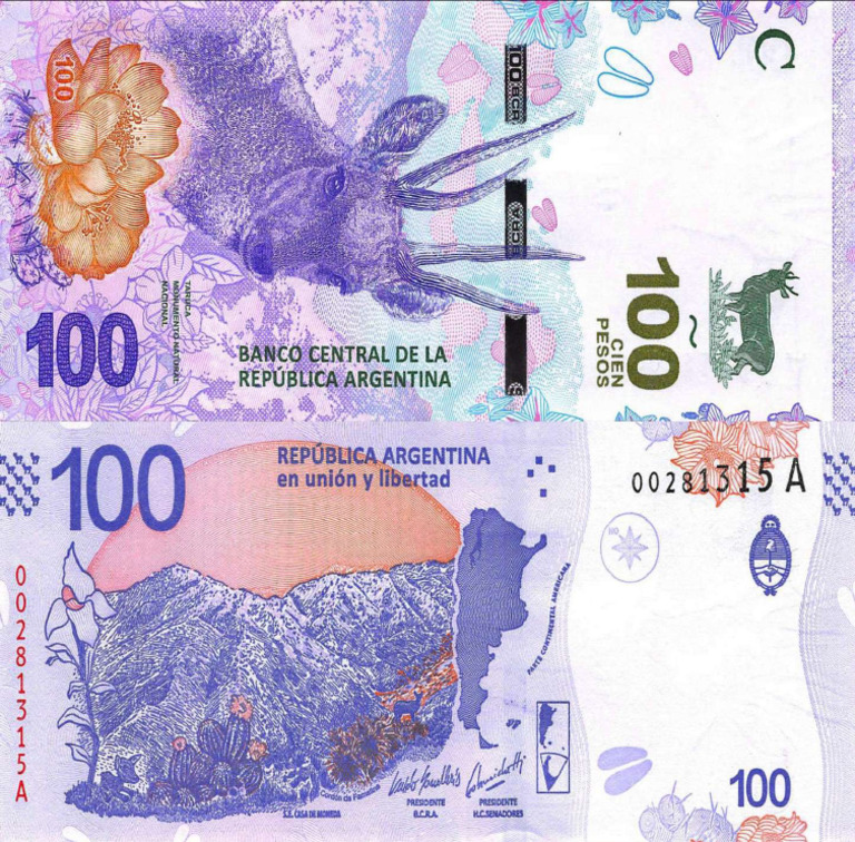 Billete de 100 Pesos Argentinos Para Imprimir PDF | PDF