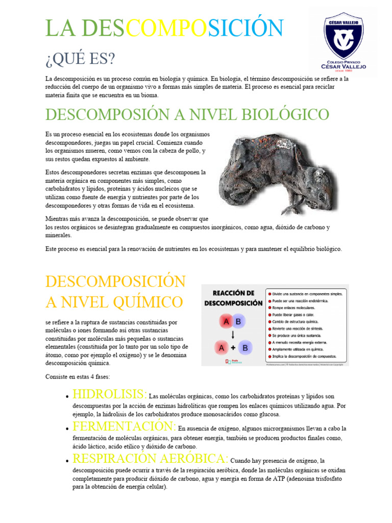 La Descomposicion | PDF | Descomposición | Hidrólisis