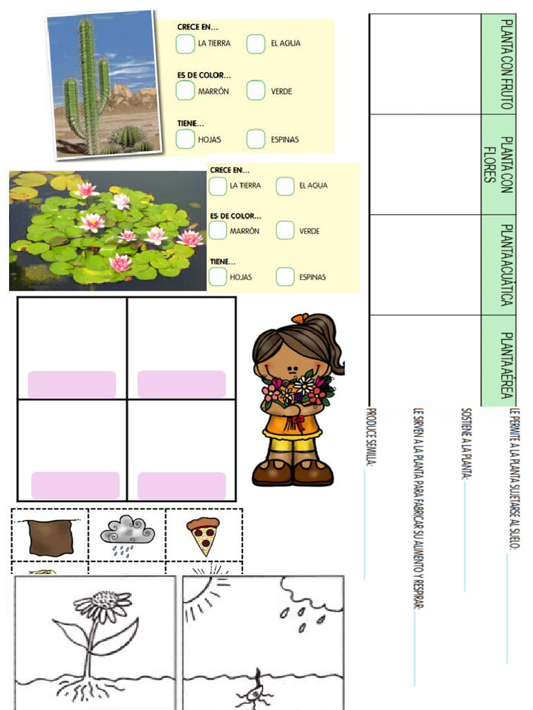 Plantillas Proyecto 2 Cs Nat | PDF