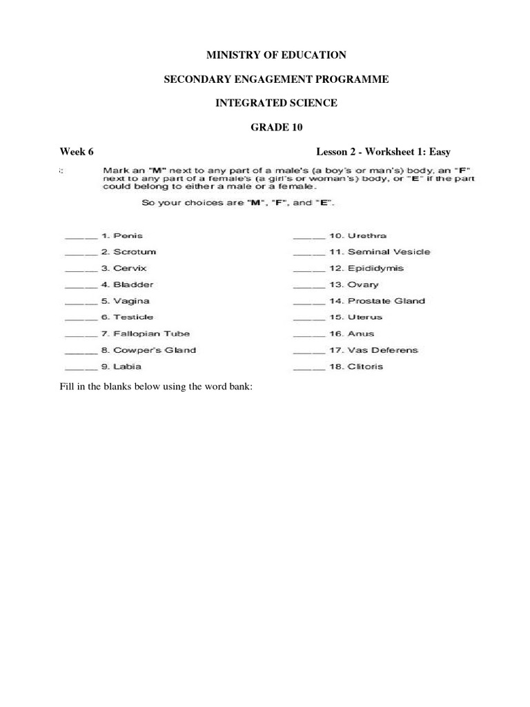Grade 10 Integrated Science Worksheet | PDF