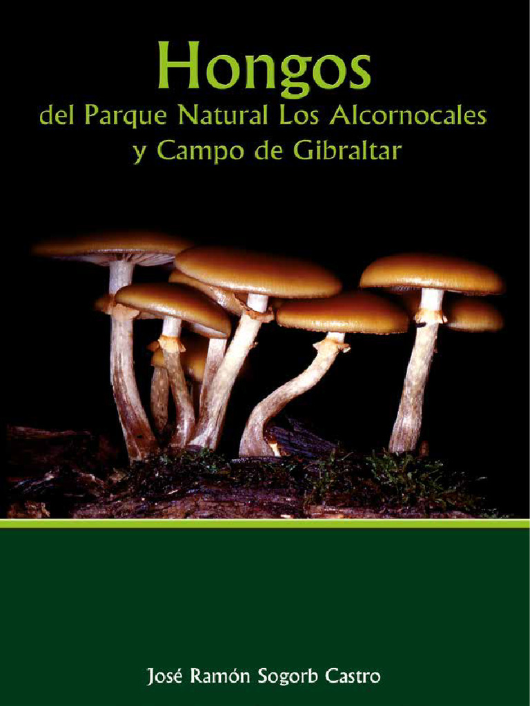Libro de Hongos | PDF | Ciencias sociales