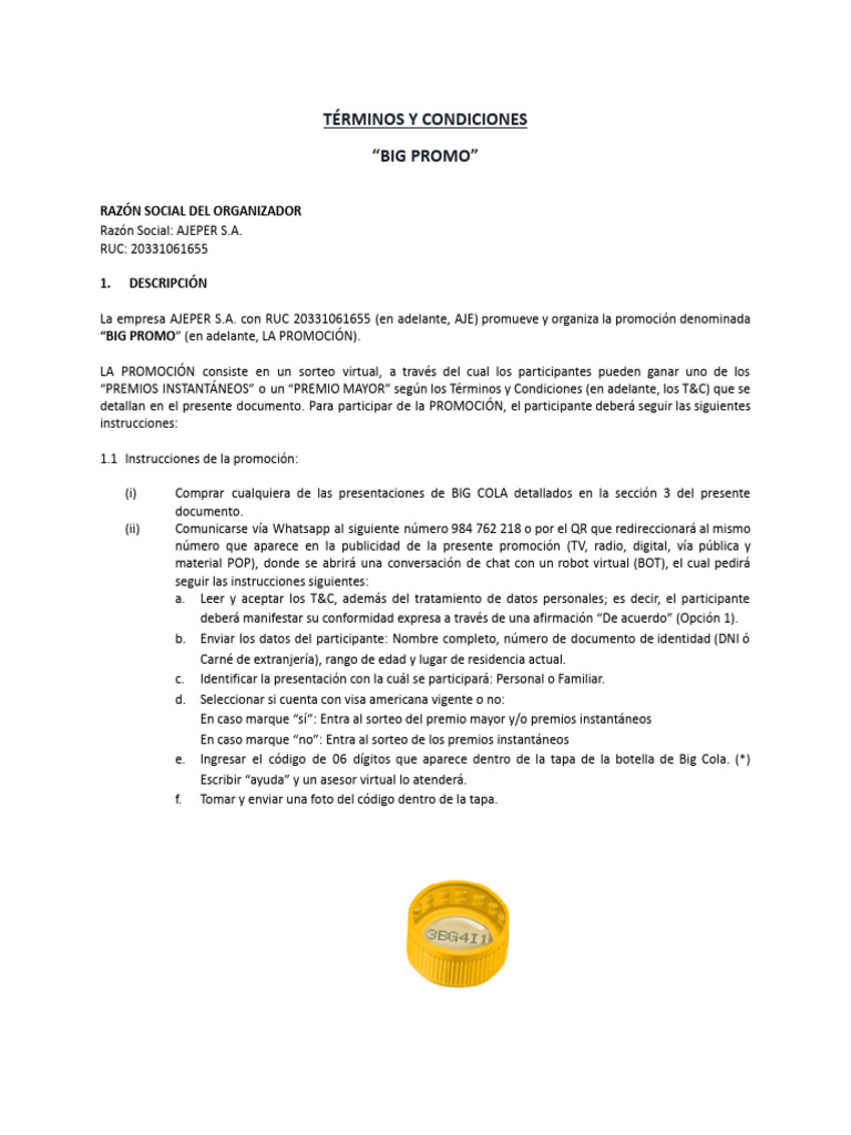 T C Big Promo - Ajeper | Descargar gratis PDF | Documento de identidad ...