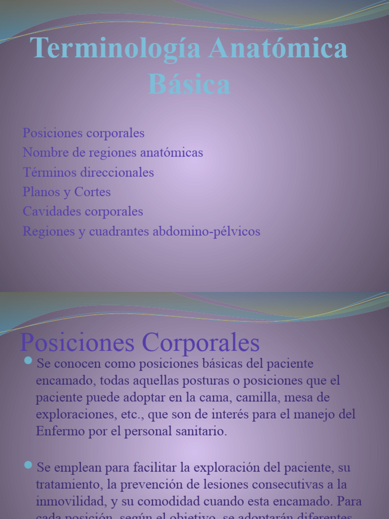 Terminología Anatómica Básica | PDF | Términos anatómicos de ubicación ...