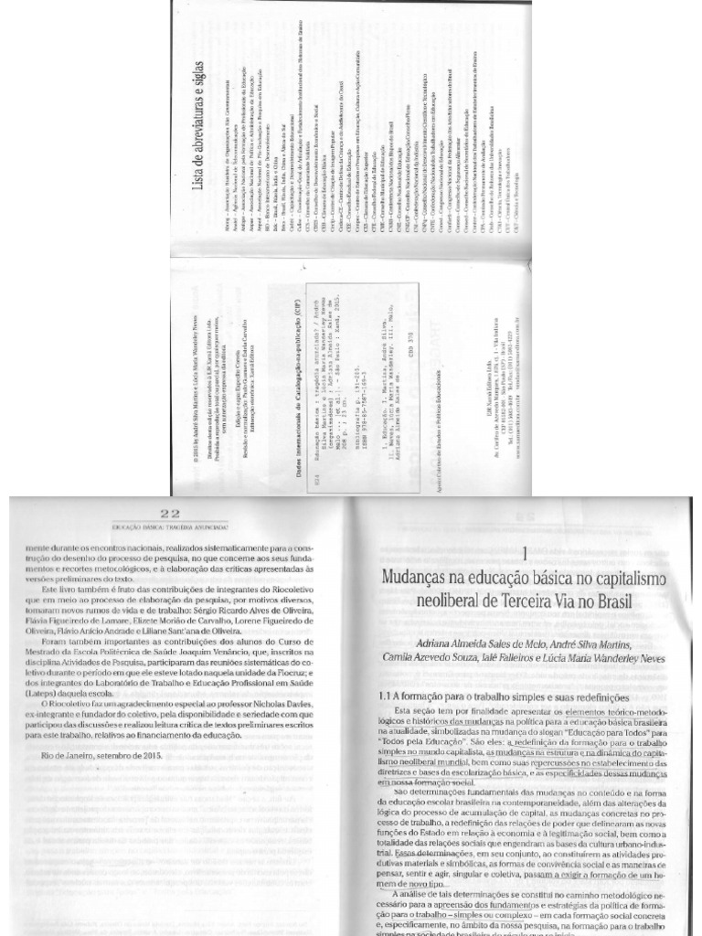 Texto 03 Concepes e Fundamentos Da Educao Bsica | PDF