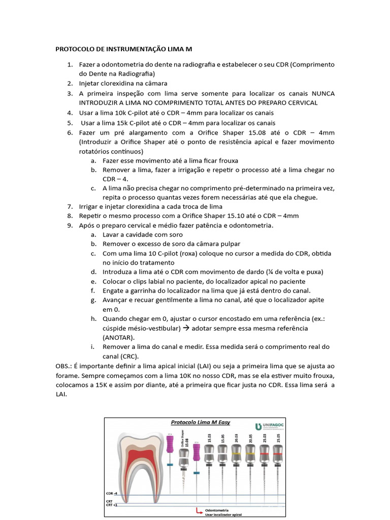 Protocolo de Instrumentação Lima M | PDF