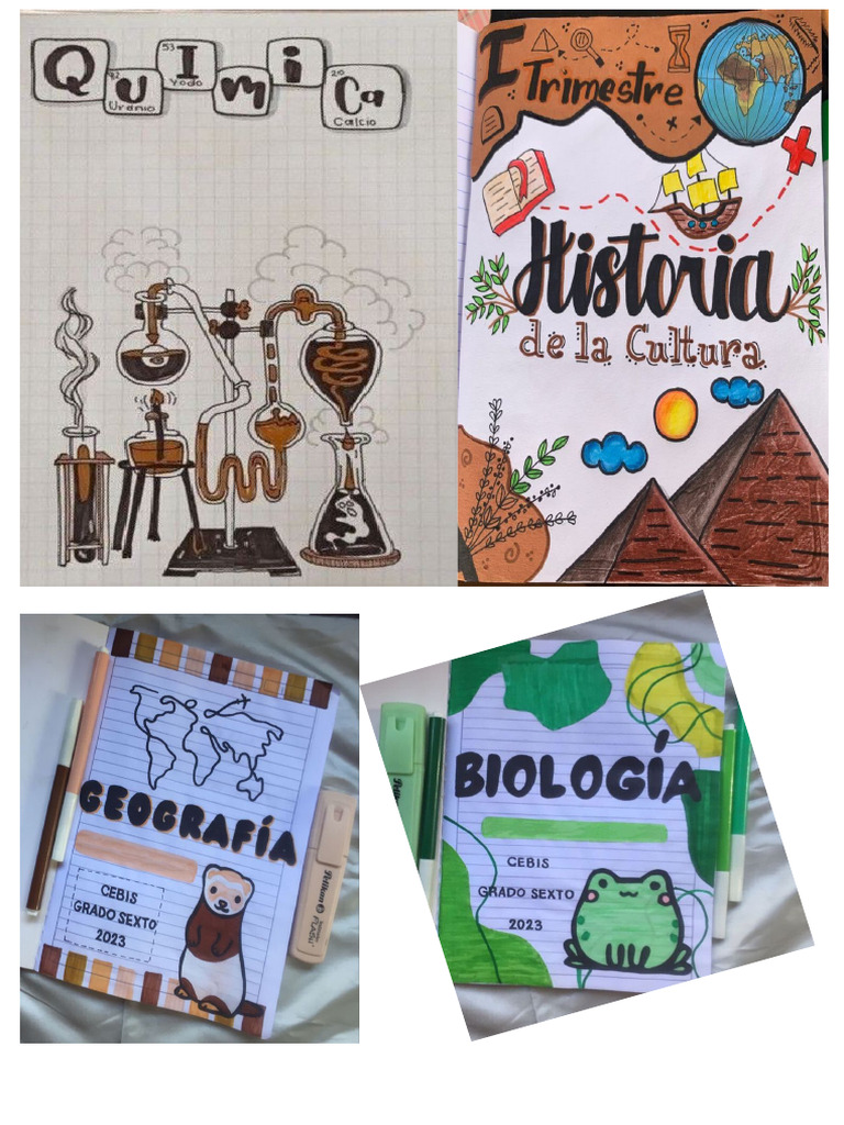 Cartulas 5 Que Mido | PDF