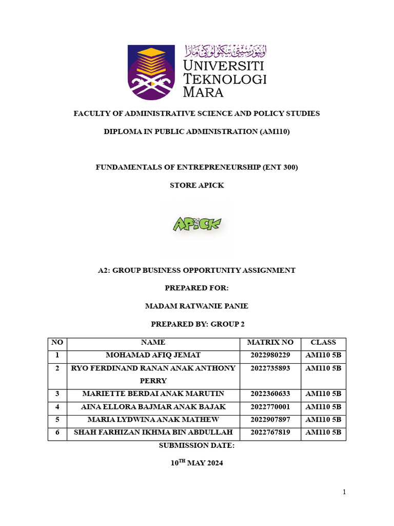 Ent 300 Business Opportunity | PDF | Fashion | T Shirt