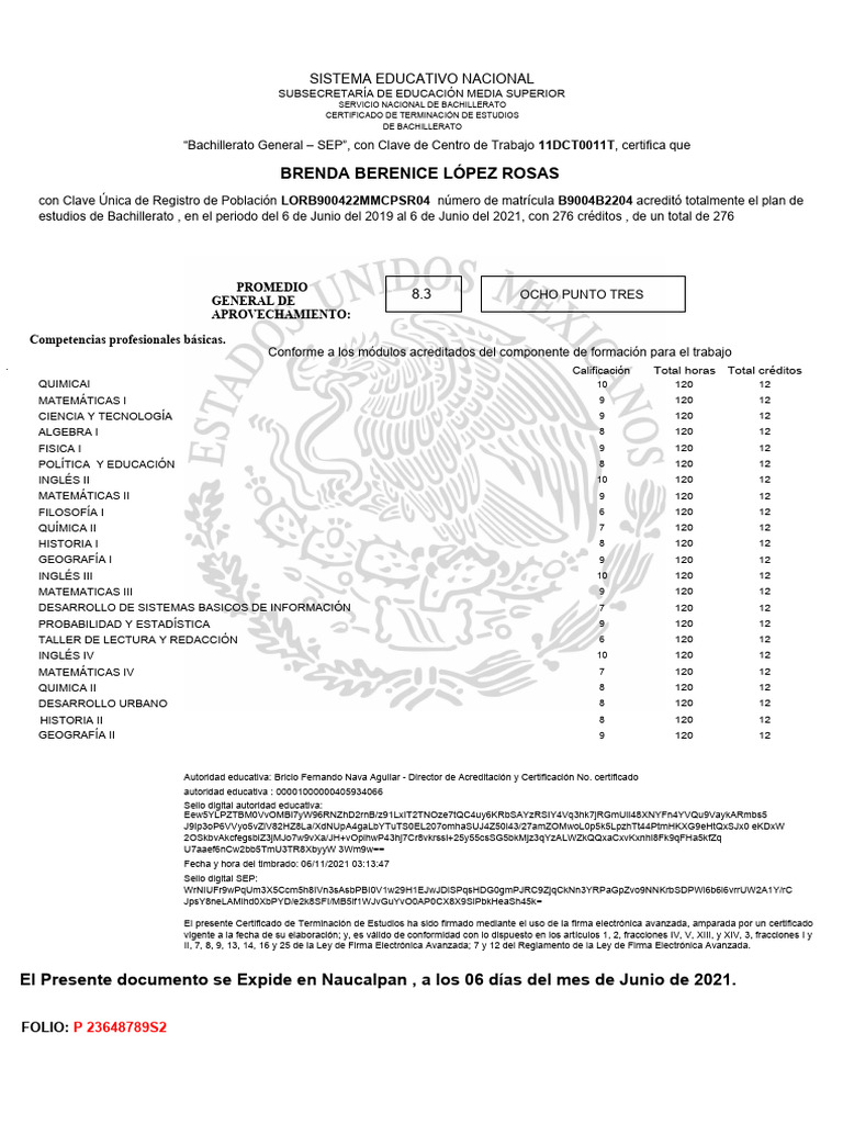Certificado Basico Salvador Ramirez | PDF | Plan de estudios