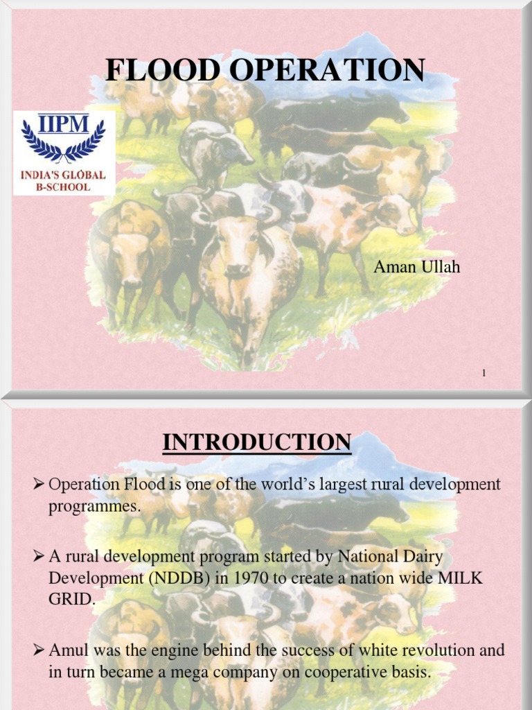 Flood Operation 1 | PDF | Dairy | Agriculture