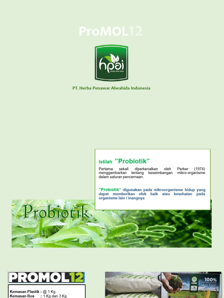 PRESENTASI PROMOL 12 (Member) | PDF | Sains & Matematika | Teknologi ...