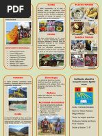 Triptico Selva | PDF | Selva | río Amazonas