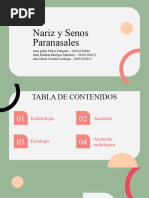 Nariz y Senos Paranasales | PDF | Nariz humana | Rinología