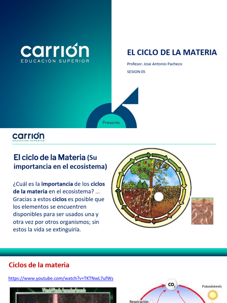Ciclos de Materia en Ecosistemas | PDF | Ecología | Entorno natural