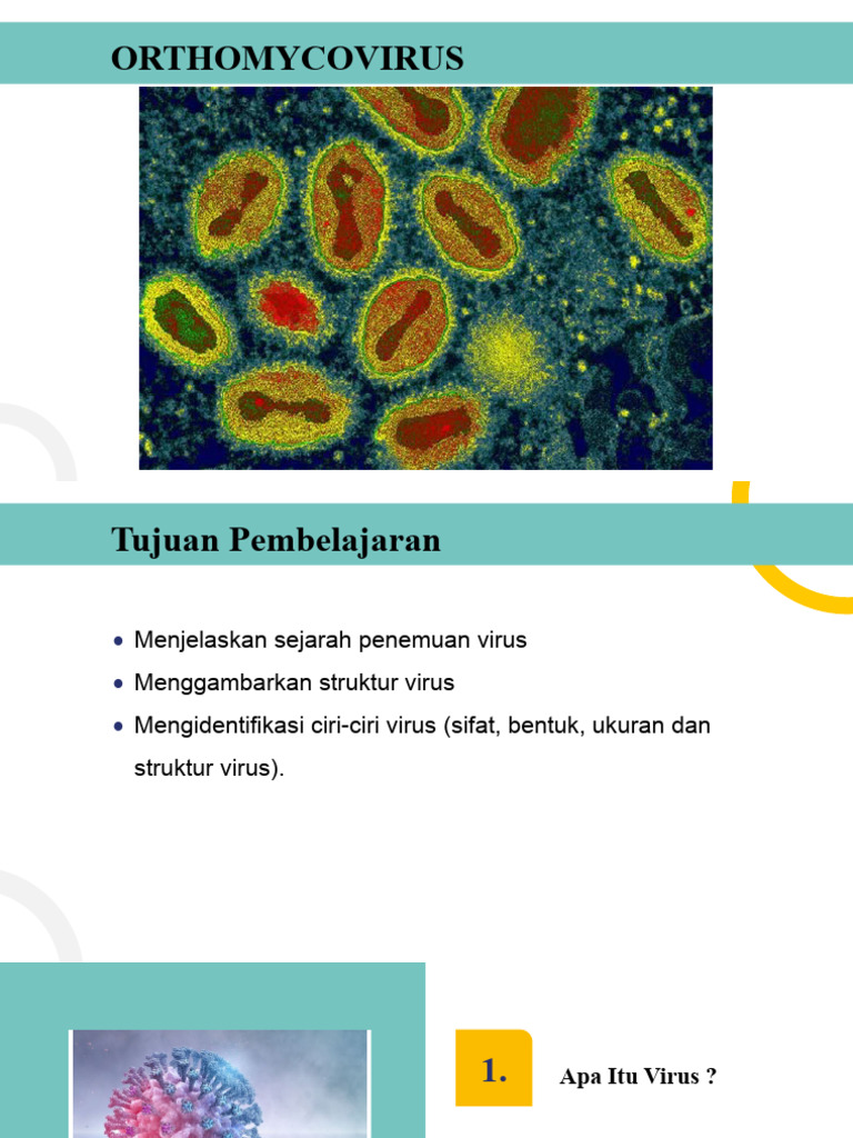 Struktur dan Bentuk Virus Orthomyxo | PDF