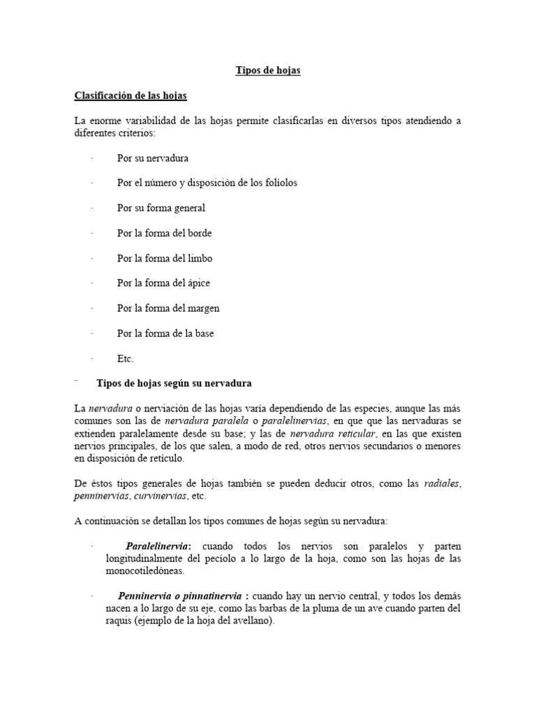 Tipos de Hojas | PDF | Flores | Hoja