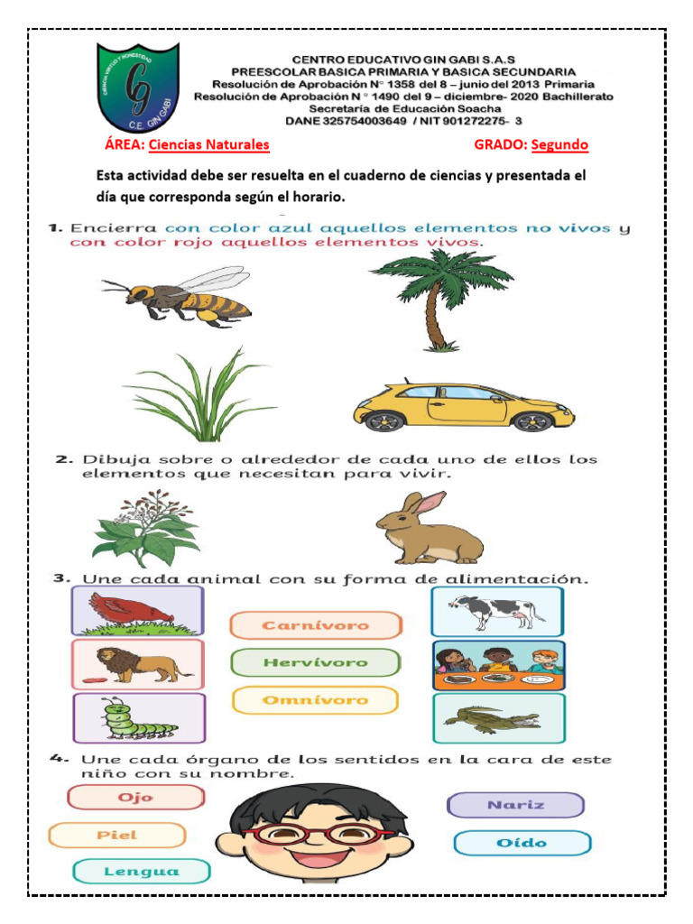 Prueba Diagnostica de Ciencias Naturales - 2 Grado | PDF
