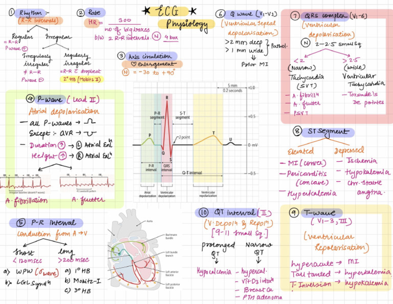 ECG Mindmap | PDF