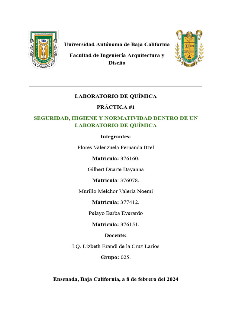 Practica 1. SEGURIDAD, HIGIENE Y NORMATIVIDAD DENTRO DE UN LABORATORIO DE QUÍMICA | PDF ...