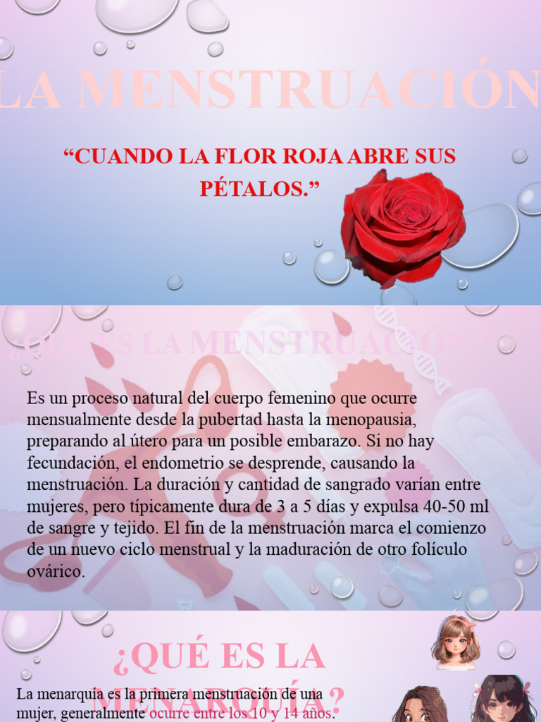 Guía Completa sobre la Menstruación | PDF | Menstruación | Ciclo menstrual