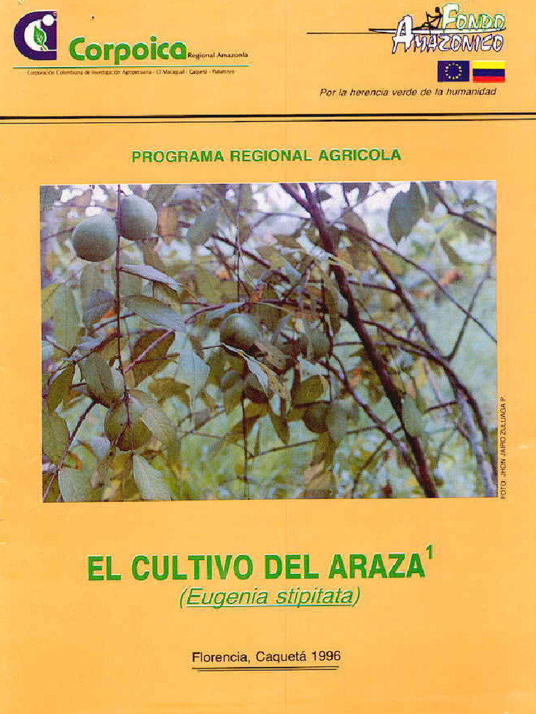 Cultivo Del Araza | PDF