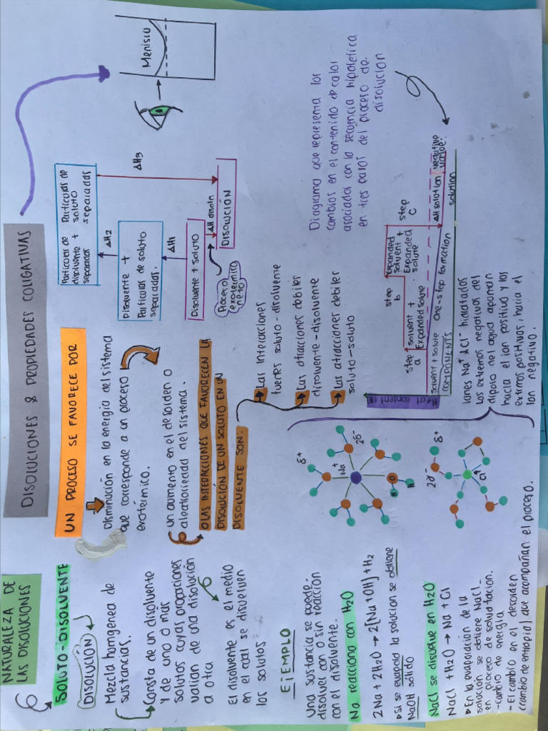 MC Disoluciones JNGG 2024 | PDF