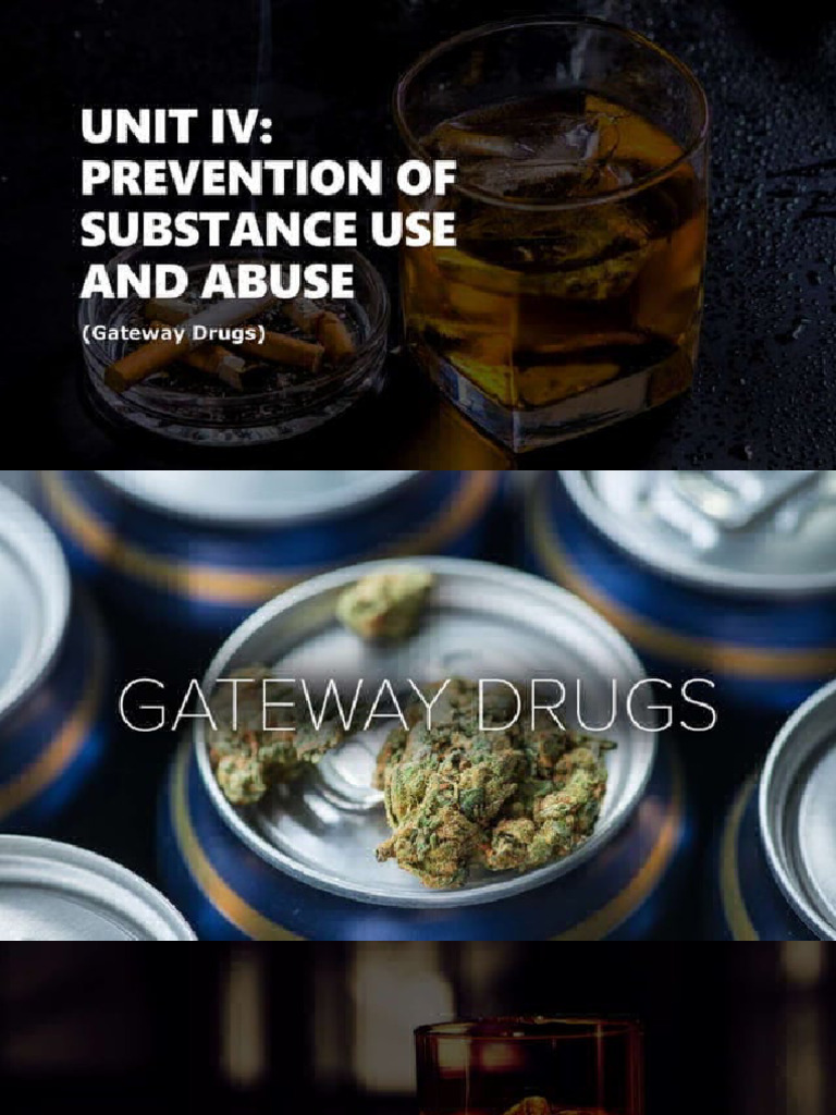 Gateway Drugs 149947643 | PDF