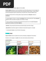 Protist Dichotomous Key Activity | PDF | Biology | Cell Anatomy