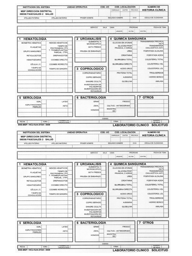Formulario 008 Lab | PDF