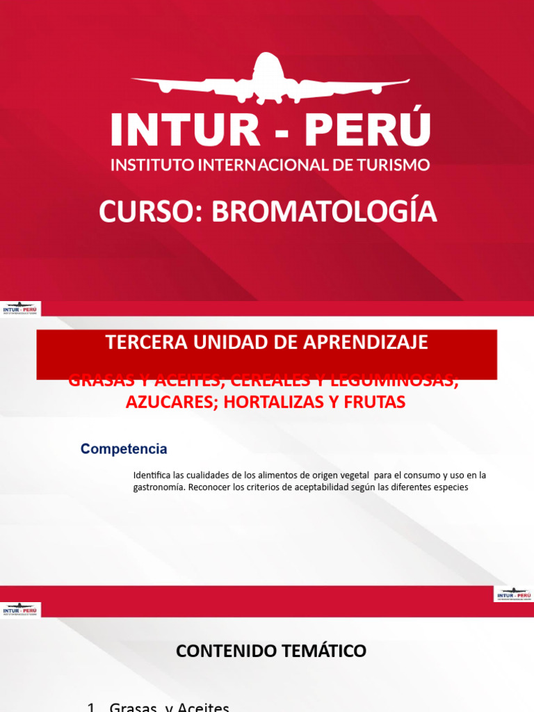 BRM - 3 Unidad Grasas y Aceite | PDF | Vegetales | gordo