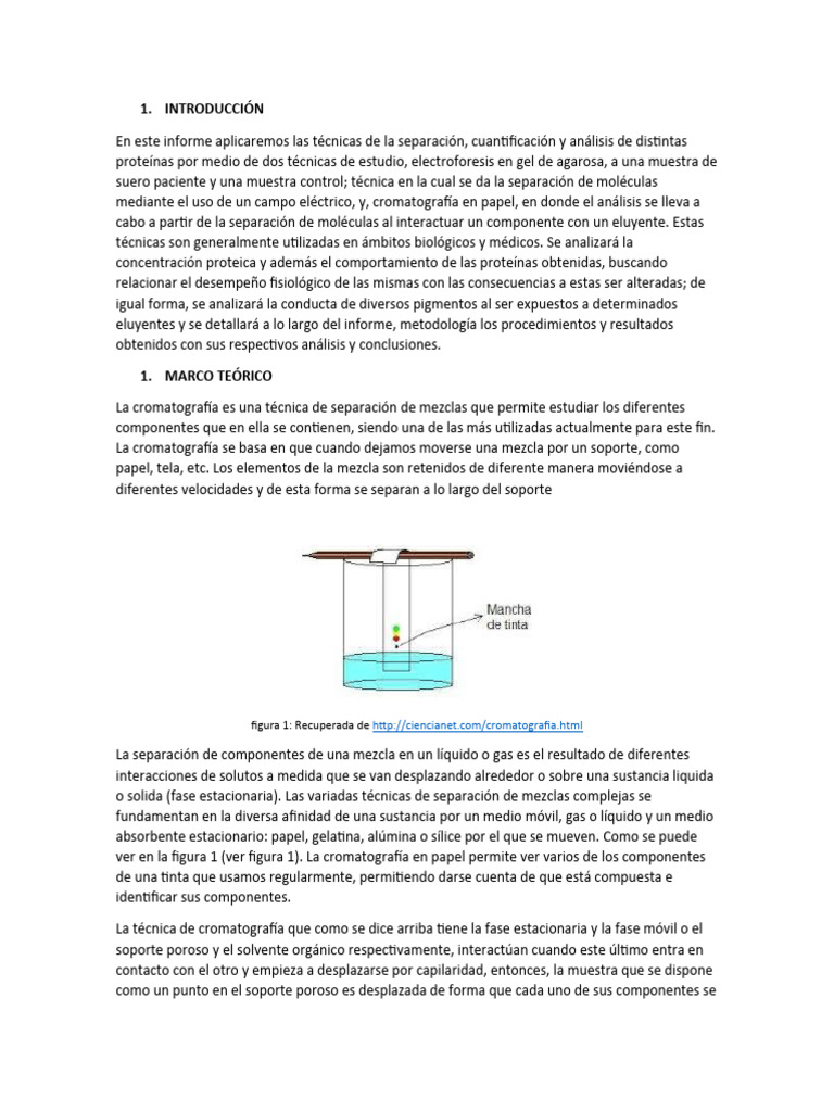 Informe Electroforesis y Cromatografia | PDF | Cromatografía | Electroforesis