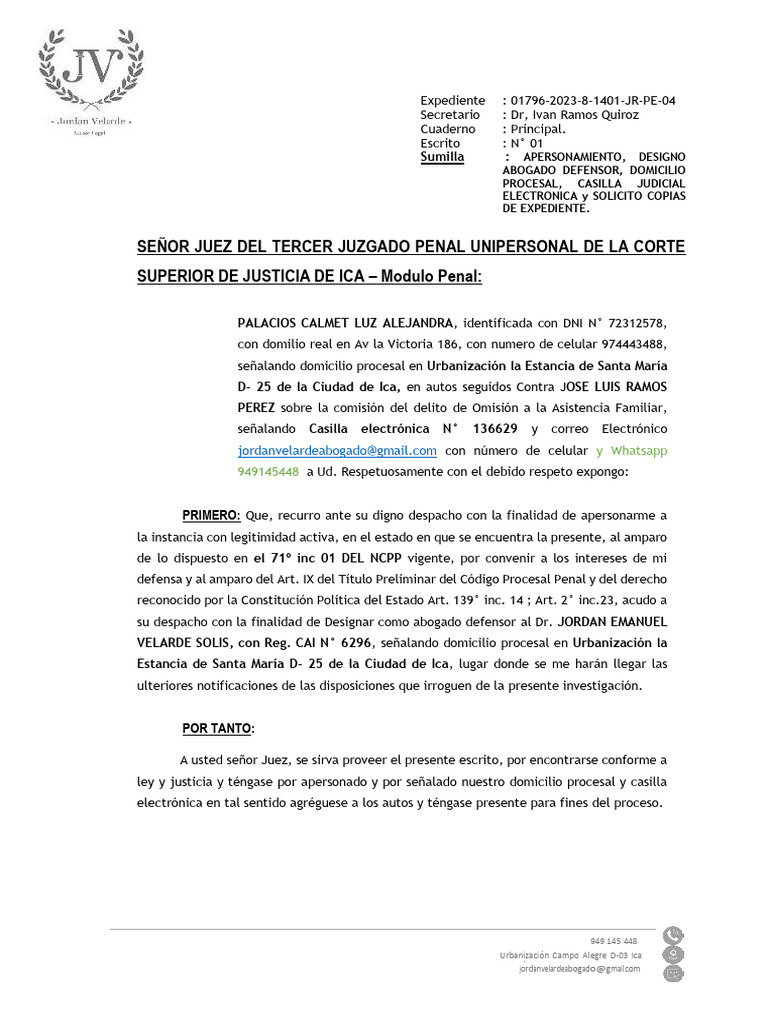 Apersonamiento y Solicitud de Copias Judiciales | PDF | Debido al ...