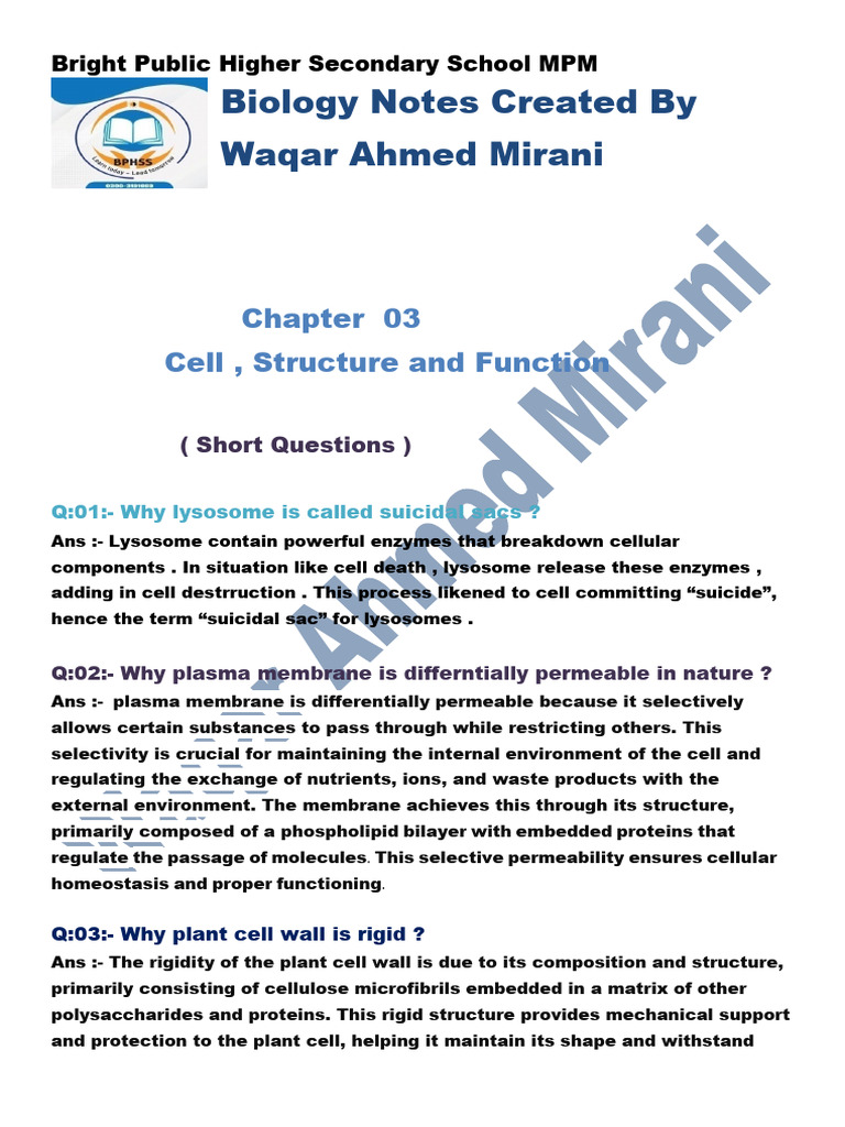 Cell Exercise Part 2 | PDF | Cell Wall | Microtubule