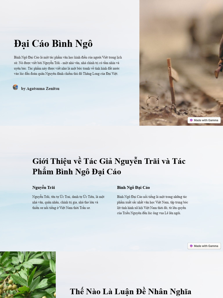 DJai Cao Binh Ngo | PDF