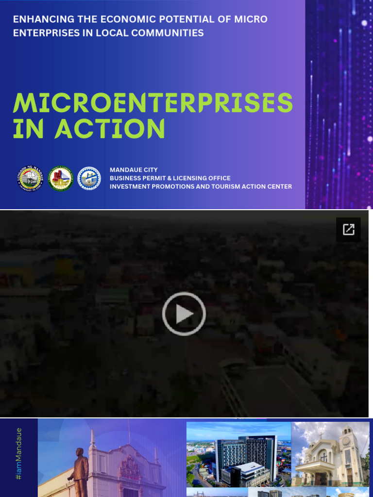 Boosting Mandaue's Microenterprise Growth | PDF | Climate Resilience ...
