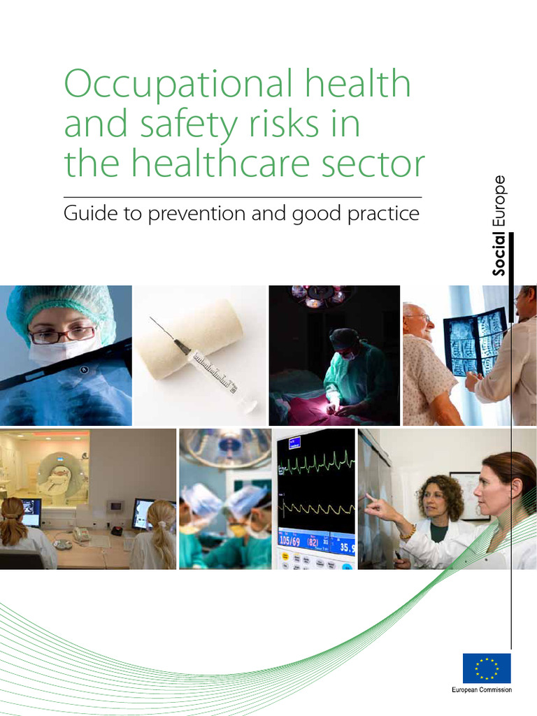 OHS in Healthcare Sector | PDF | Occupational Safety And Health | Risk