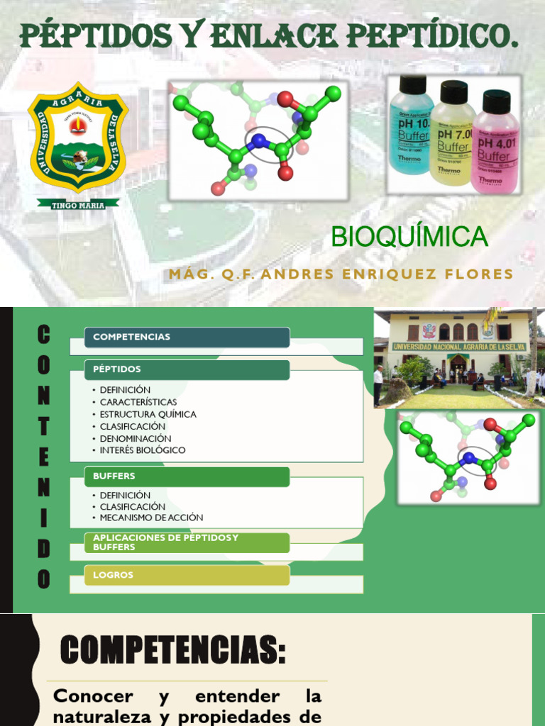Péptidos y Enlace Peptídico-1 | PDF | Péptido | Aminoácidos