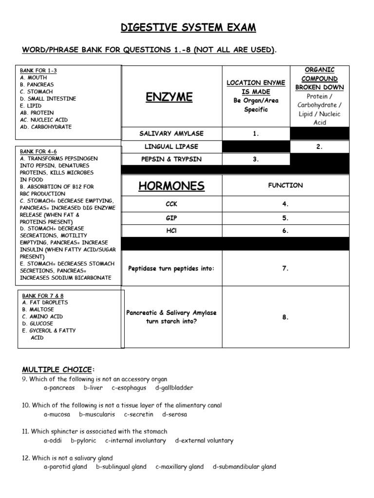 Digestive System Quiz | PDF | Stomach | Digestion