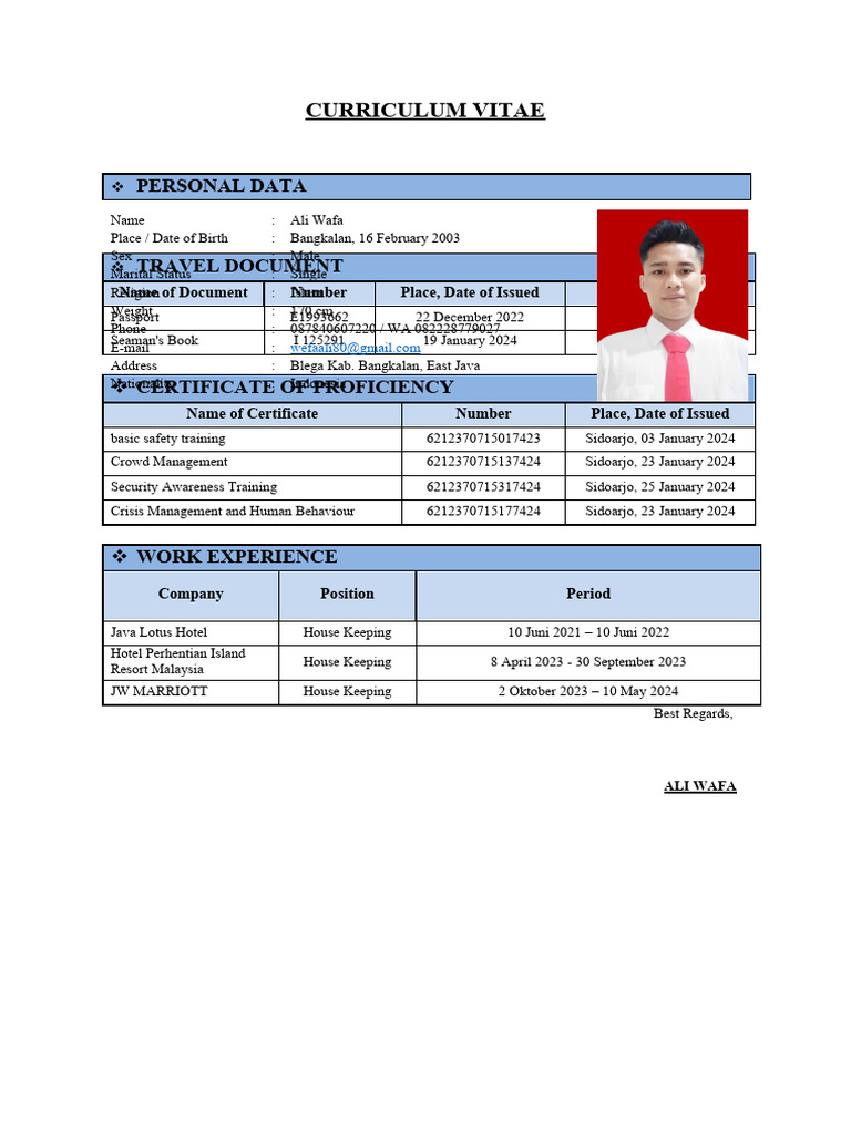 Ali Wafa's Professional CV Summary | PDF