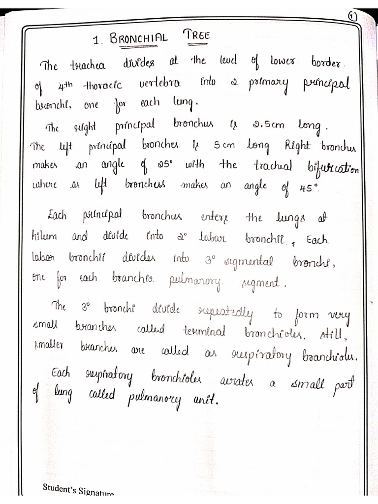 Anatomy Record | PDF