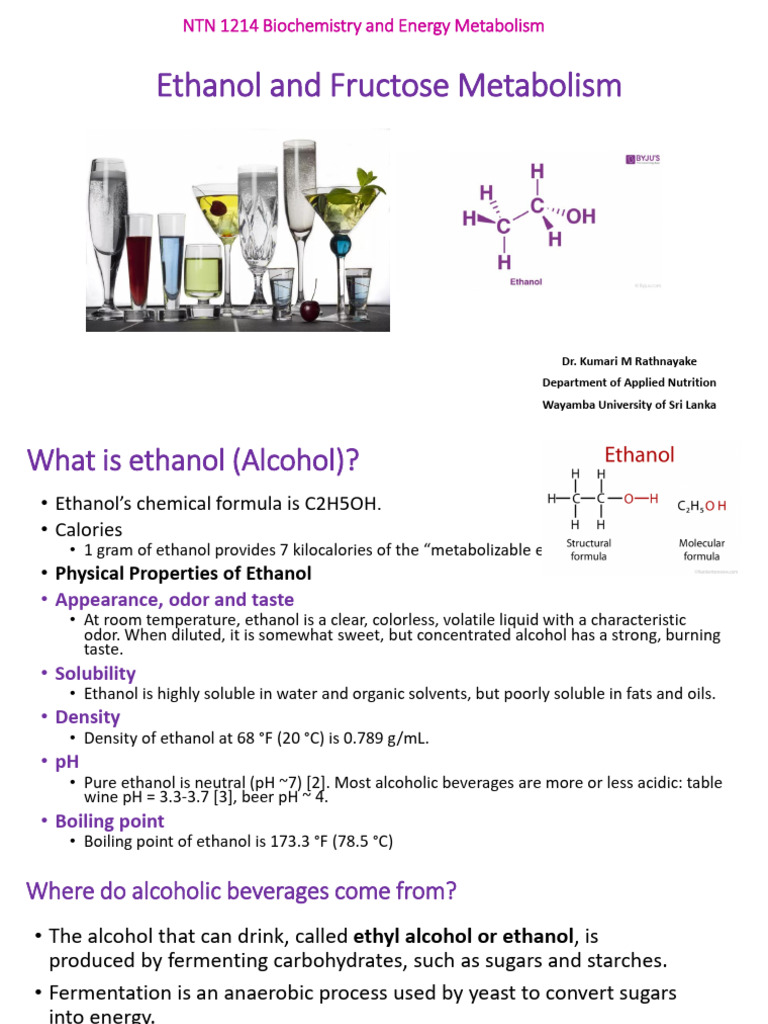 Ethanol and Fructose Metabolism | PDF | Fructose | Ethanol