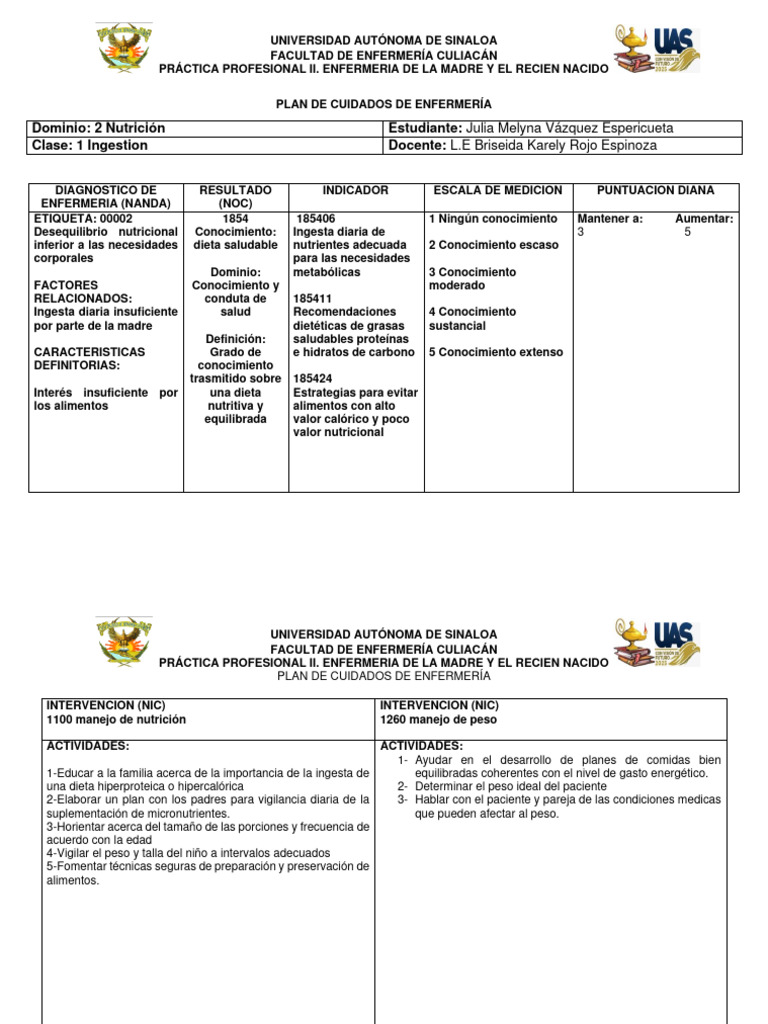 Formato Pae Descargar Gratis Pdf Dieta Nutrición