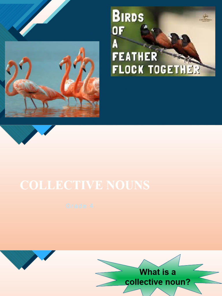 Collective Nouns | PDF | Herd | Zoology