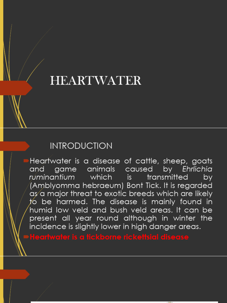 Heartwater Disease in Livestock: Overview | PDF | Home & Garden