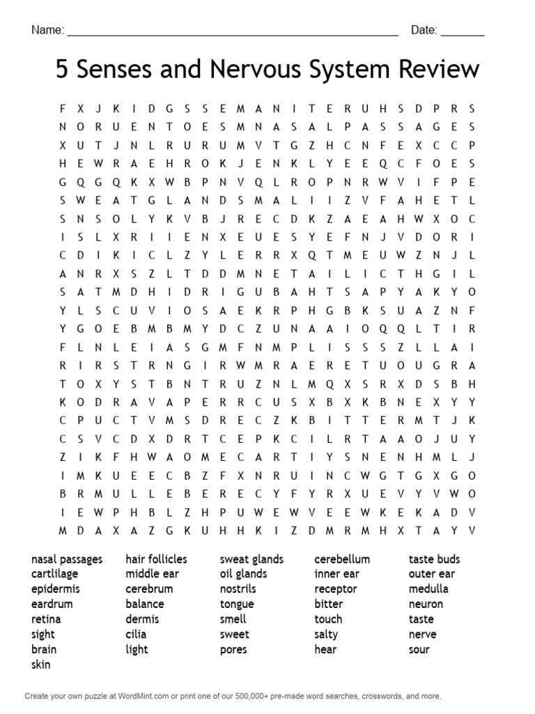 5 Senses and Nervous System Revi 7775 6162d9f5 | PDF | Taste | Skin